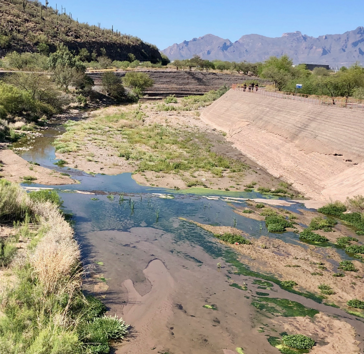 Effluent-dominated desert streams: That's just the way it flows ...